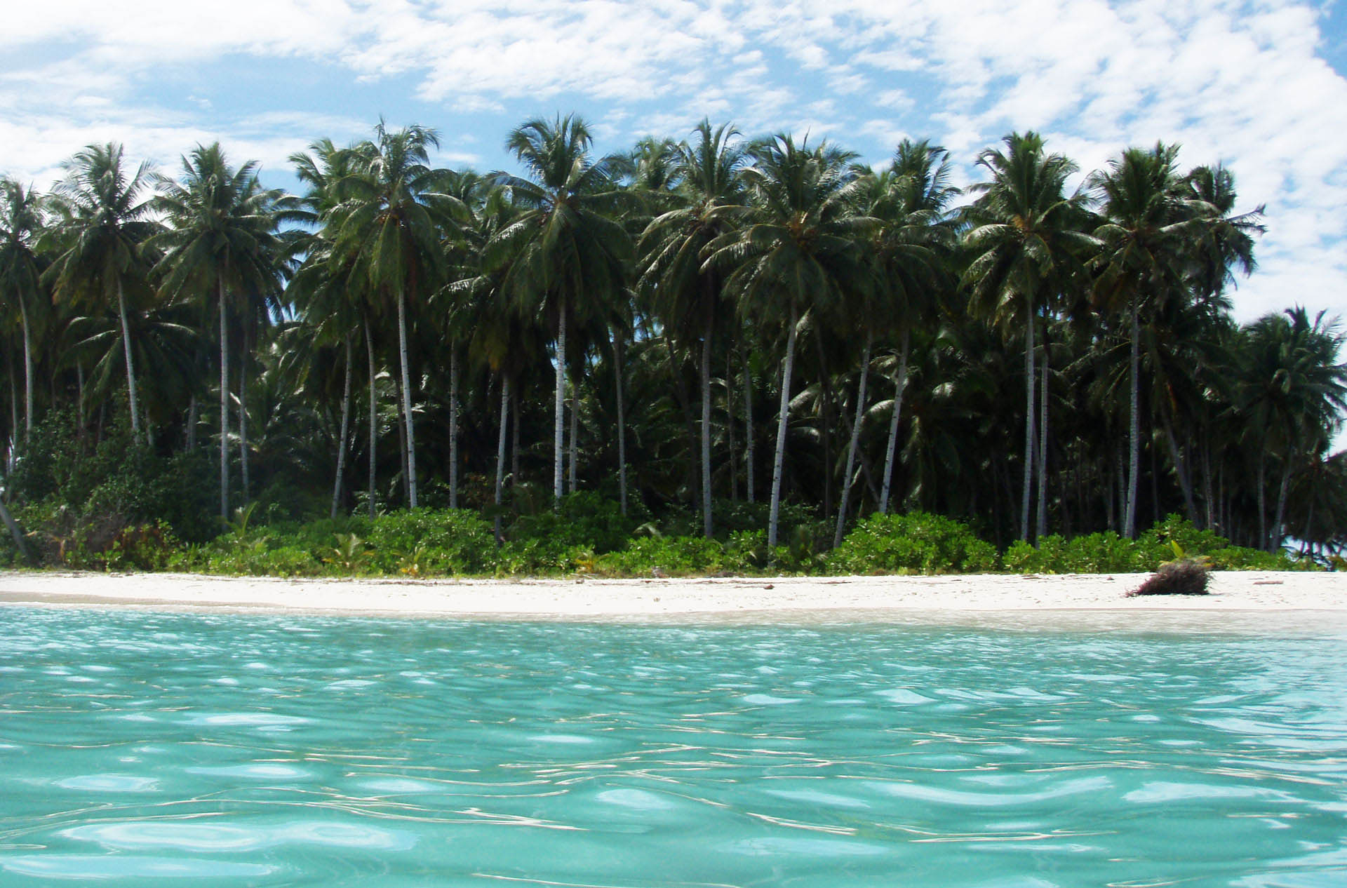 Inget socker, inga bett - ceciliafolkesson.se – Naturlig mat & Hälsa